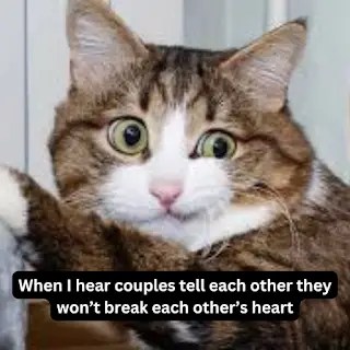 30 "You Have My Heart" Memes - ReactFully