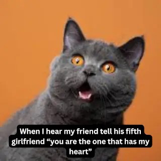 30 "You Have My Heart" Memes - ReactFully