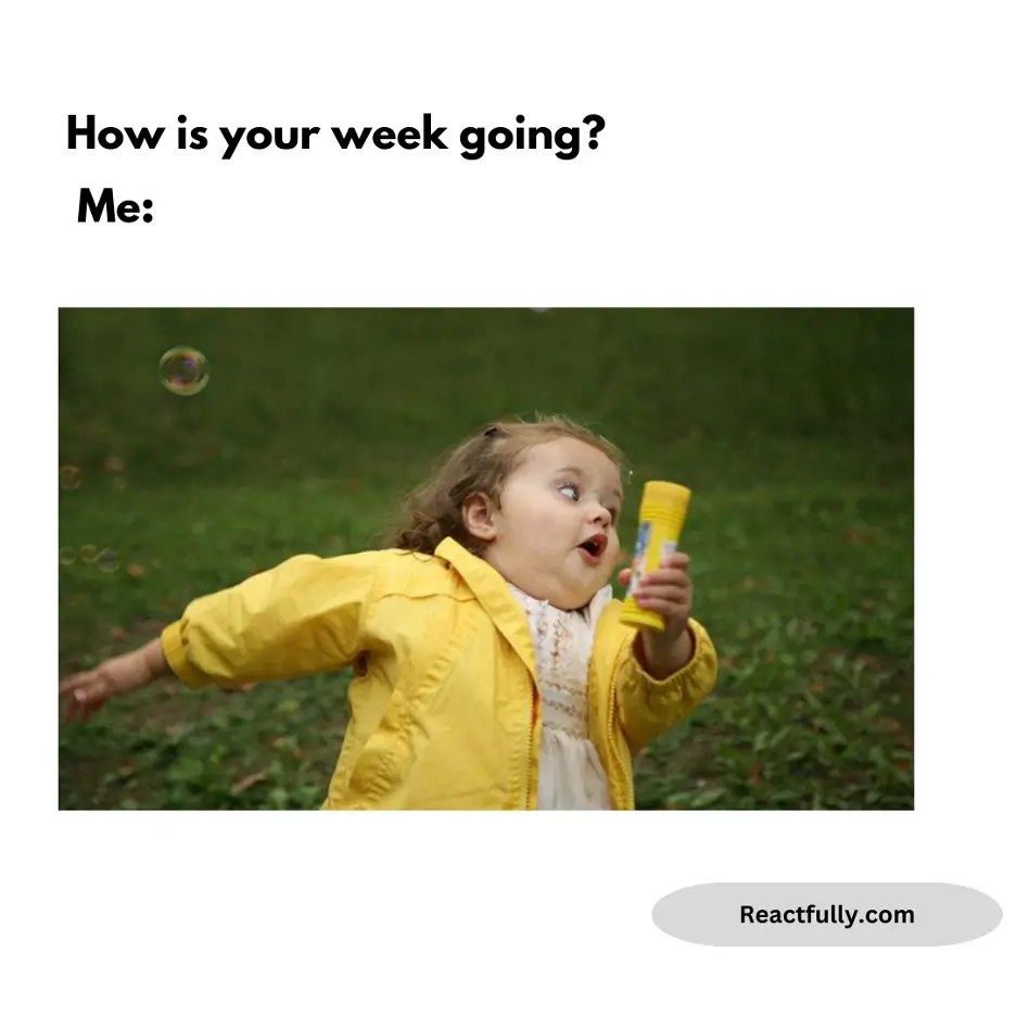 30 “How's Your Week Going” Memes - ReactFully